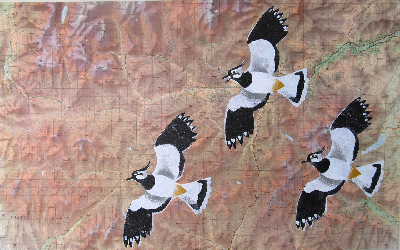 Mick Manning - Junor Gallery